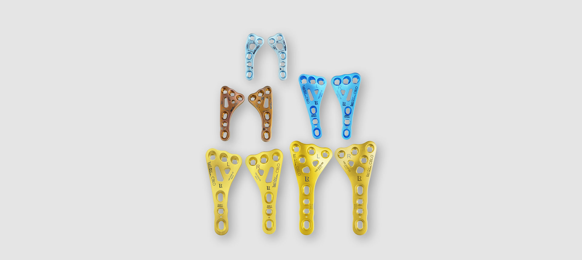 CBLO Plates – Veterinary.Shop